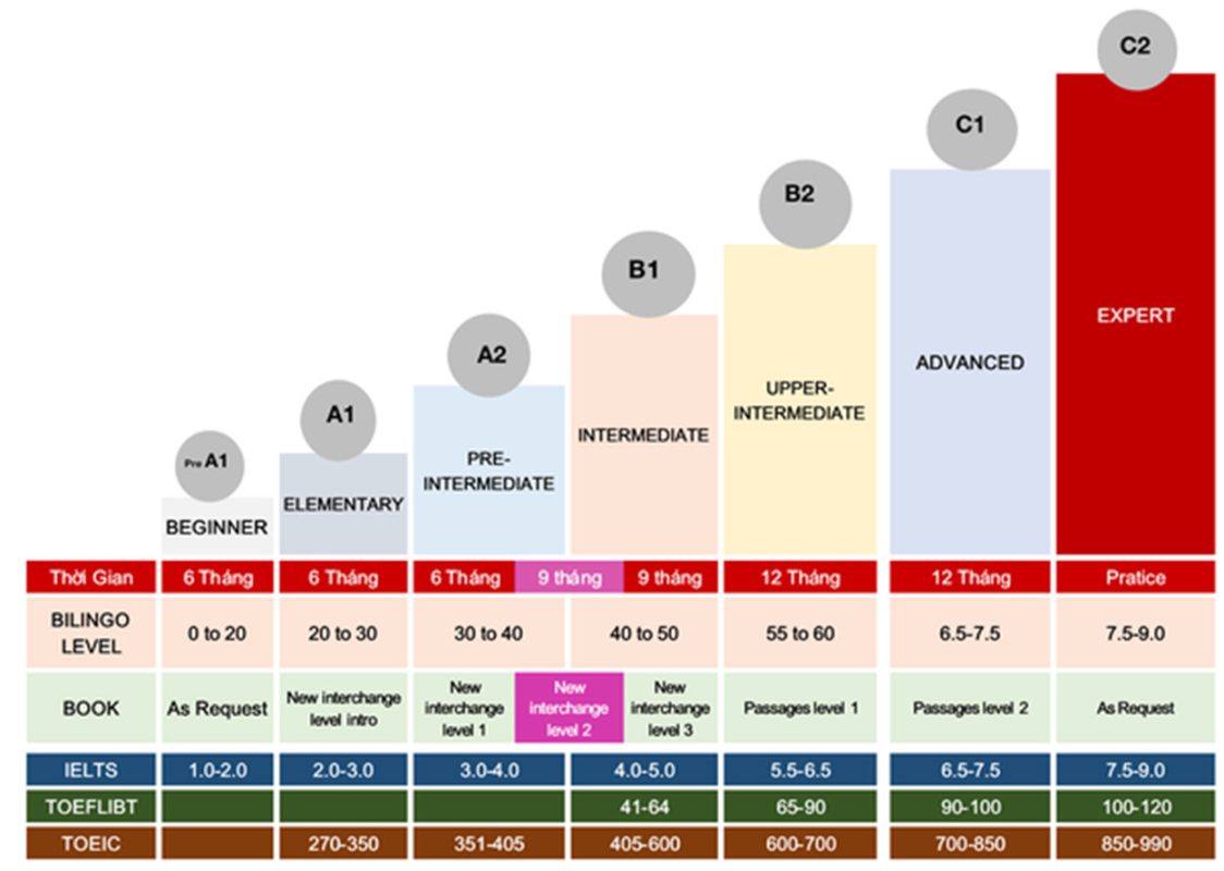 IELTS SPEAKING - Language School